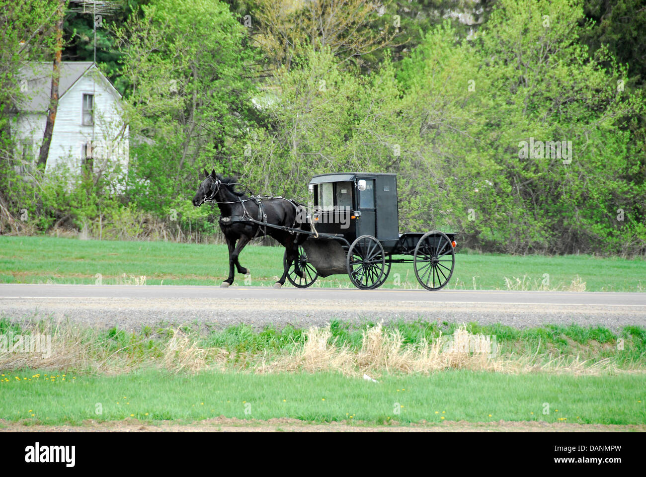 Amish buggy horse auction in hi-res stock photography and images - Alamy