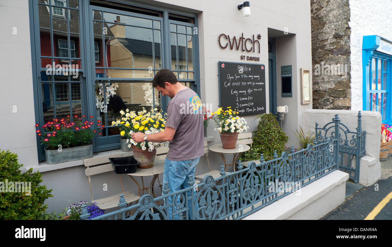 A man arranging flower display in summer outside Cwtch Welsh restaurant ...
