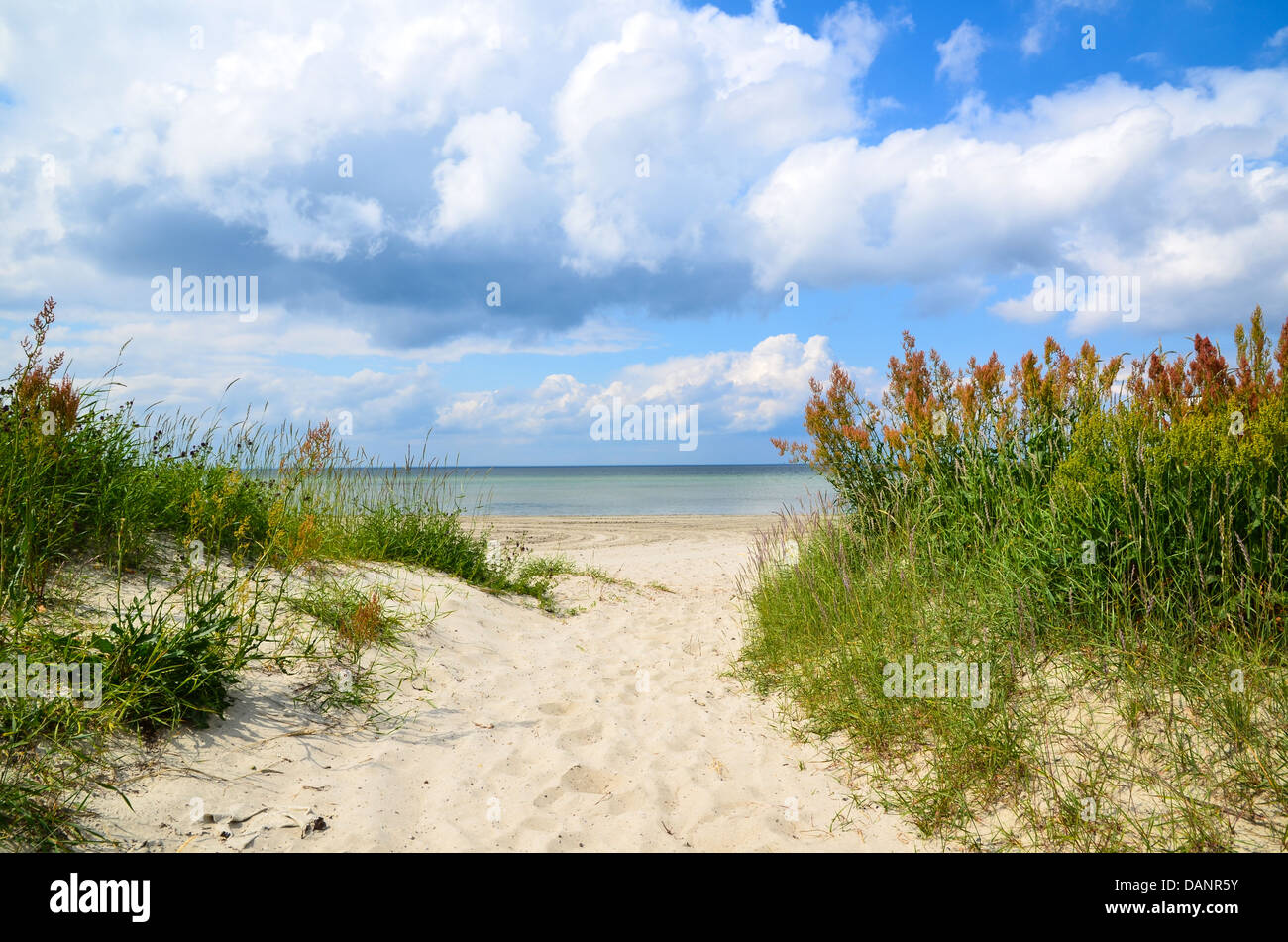 Sweden oland island beach hi-res stock photography and images - Alamy