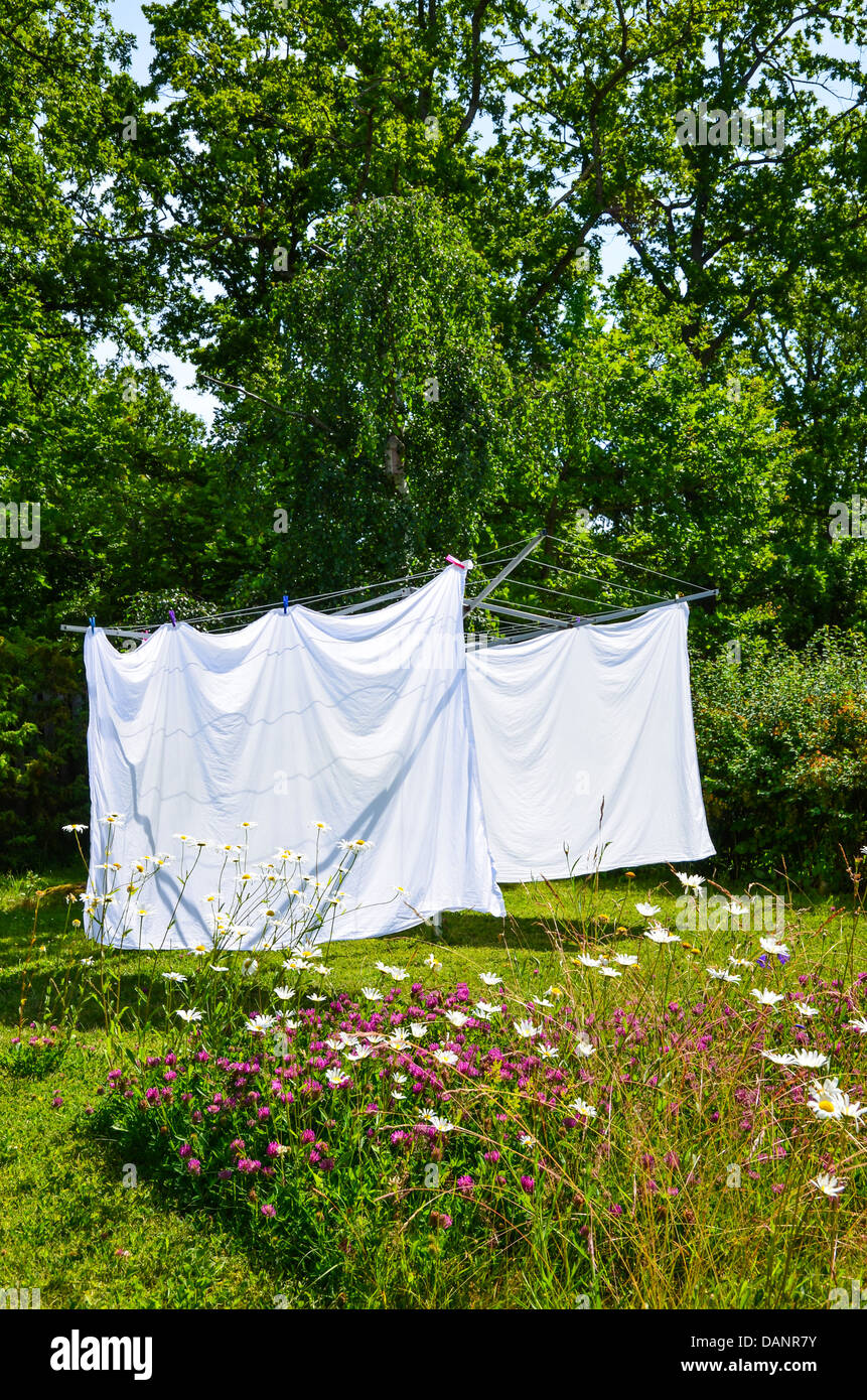 Laundry trees hi-res stock photography and images - Alamy