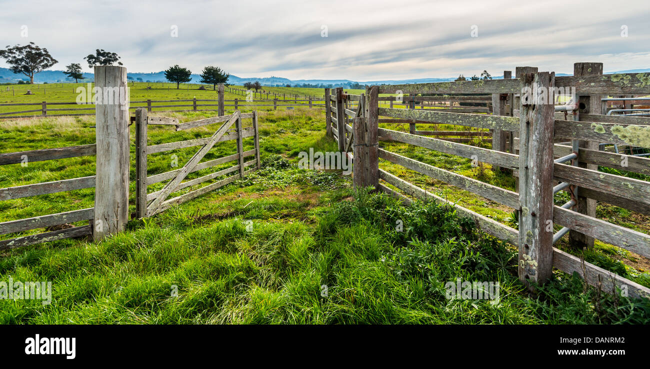Sheep Gate Stock Photos & Sheep Gate Stock Images - Alamy