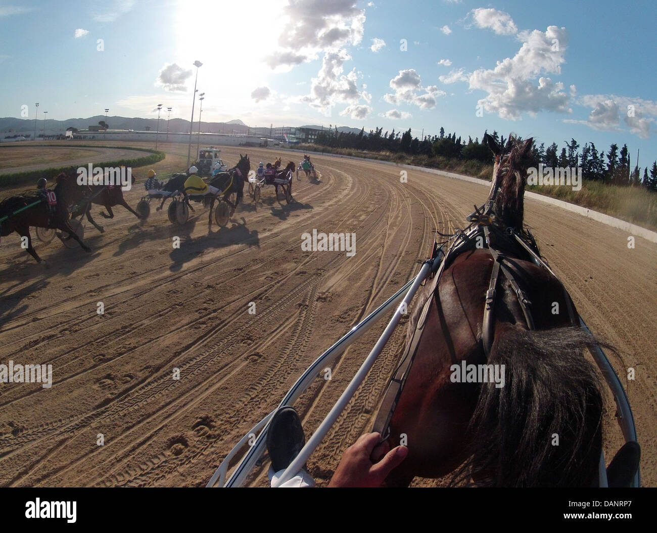 Riders during a harness racing horse race in Palma de Mallorca´s ...