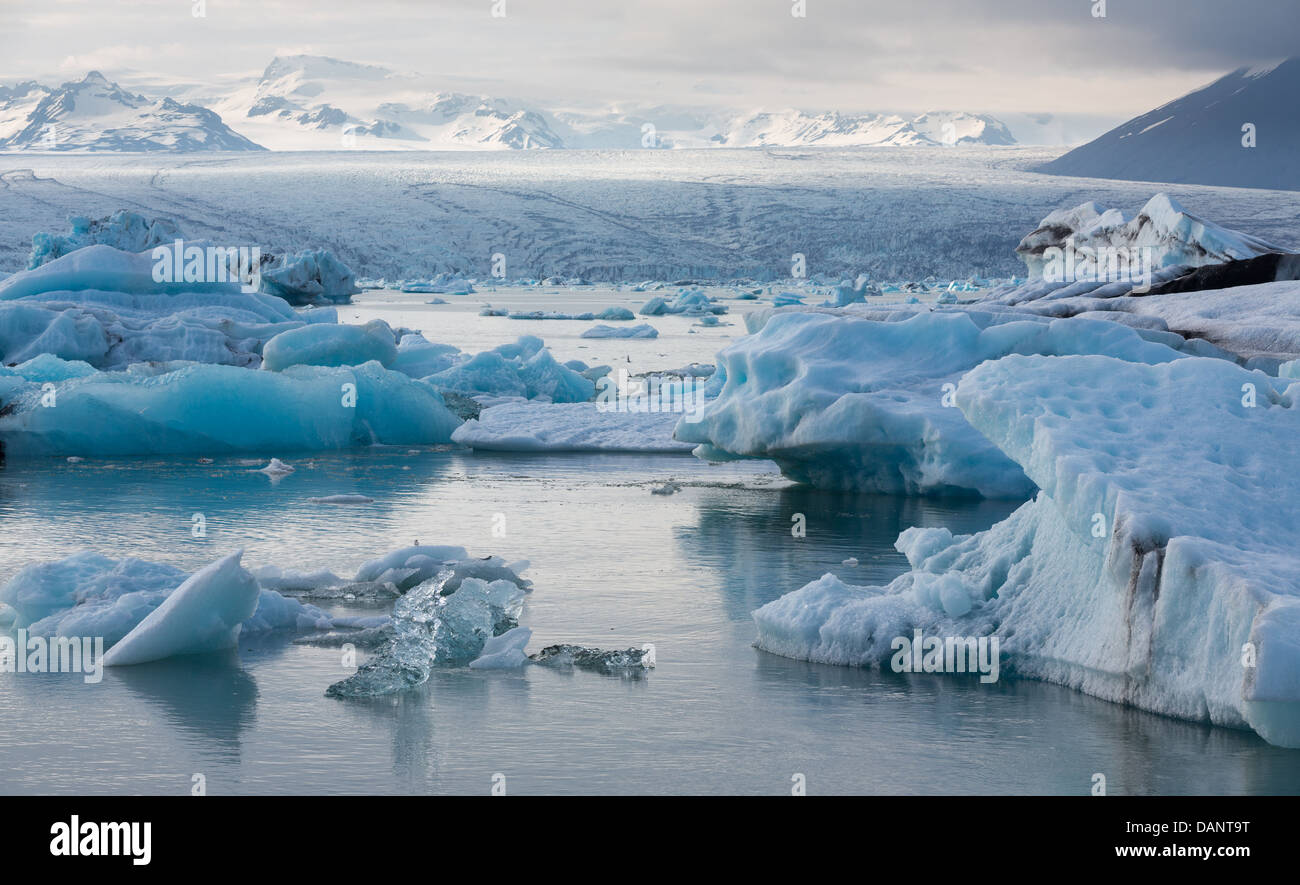 blue icebergs floating Stock Photo - Alamy