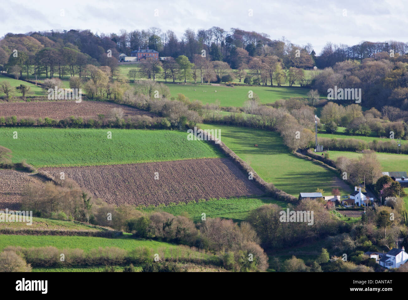 Late spring afternoon in the Torridge Valley at Great Torrington in ...