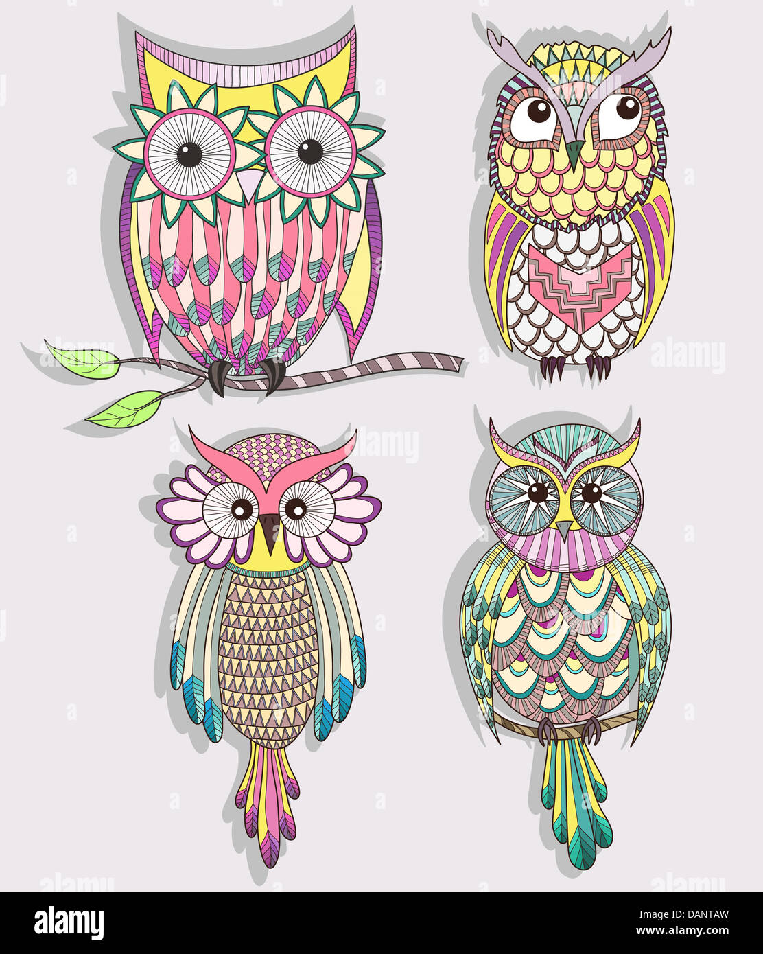 Set of cute colorful owls Stock Photo - Alamy