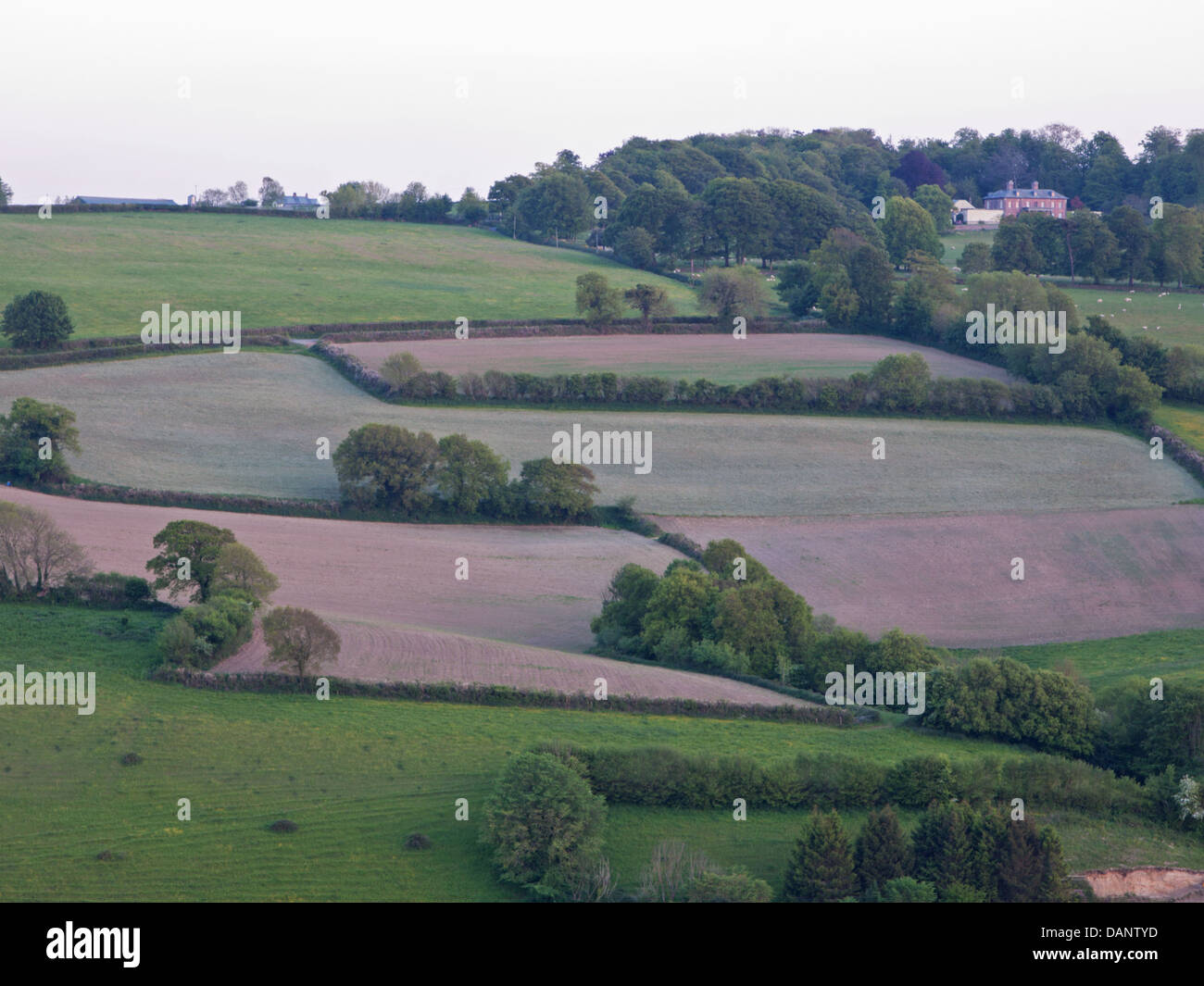 Early evening in spring in the Torridge Valley at Great Torrington in ...