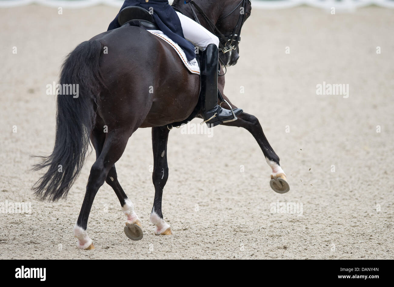 Matthias Alexander Rath rides Totilas during the dressage riding at the ...