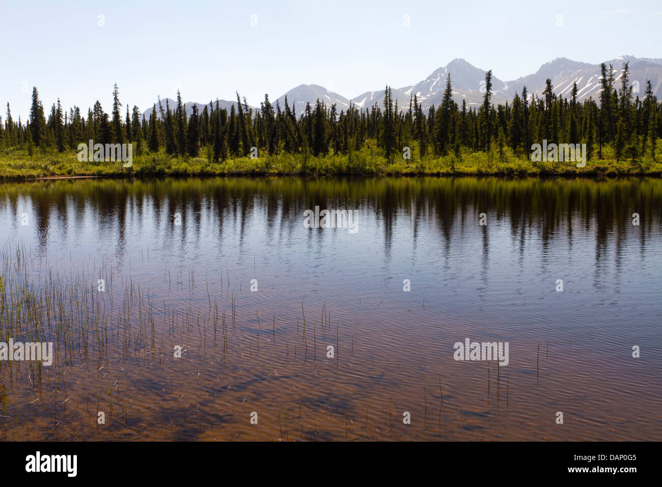 reflection of trees in lake Stock Photo - Alamy