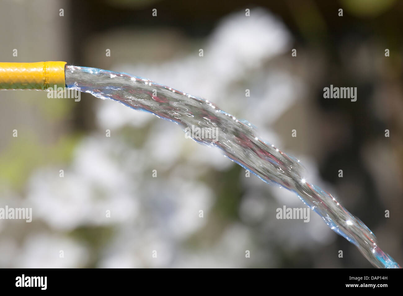 Hosepipe hose pipe filling hi-res stock photography and images - Alamy