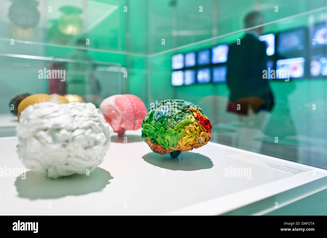 An installation consisting of eight colourful brains made of satin ...