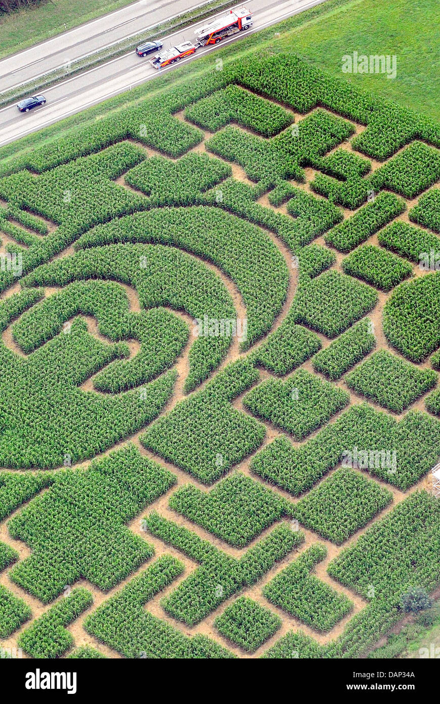 Lorries drive past a labyrinth created in a corn field at the A8 ...