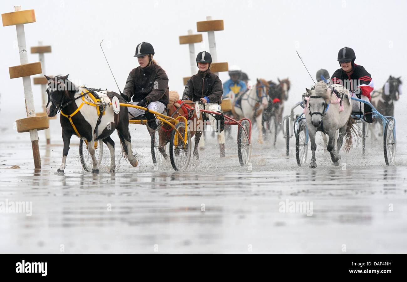 During a show race the young generation is presented in pony-mini ...