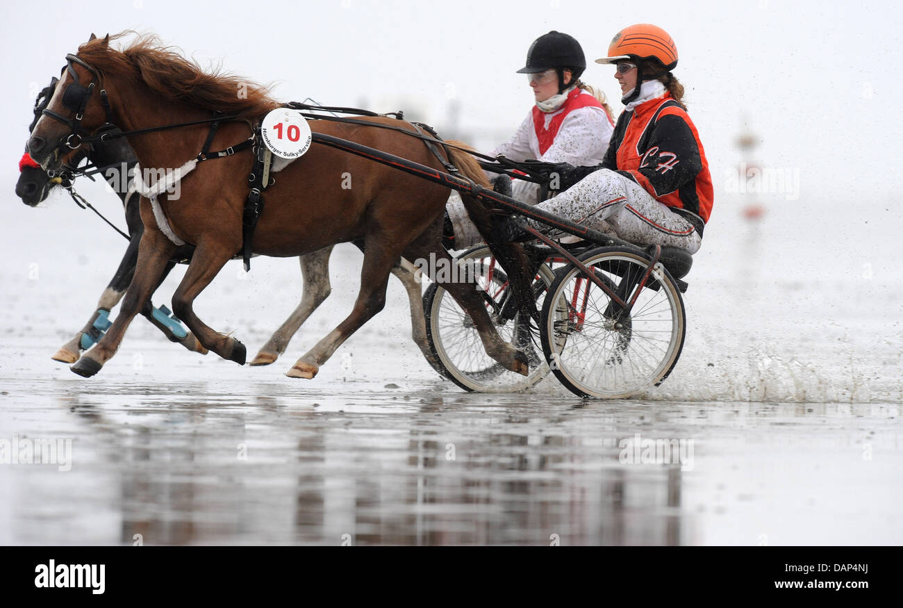 During a show race the young generation is presented in pony-mini ...
