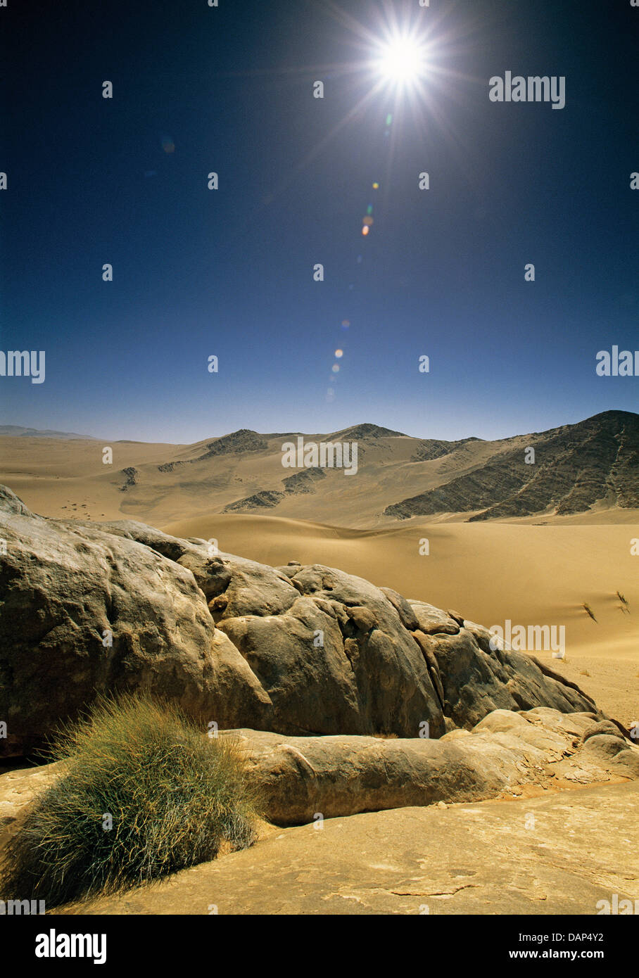 A scene in the Namib desert, Namibia Stock Photo - Alamy