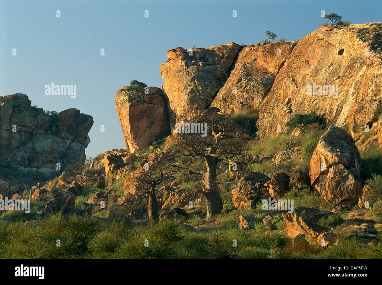 Mapungubwe hi-res stock photography and images - Alamy