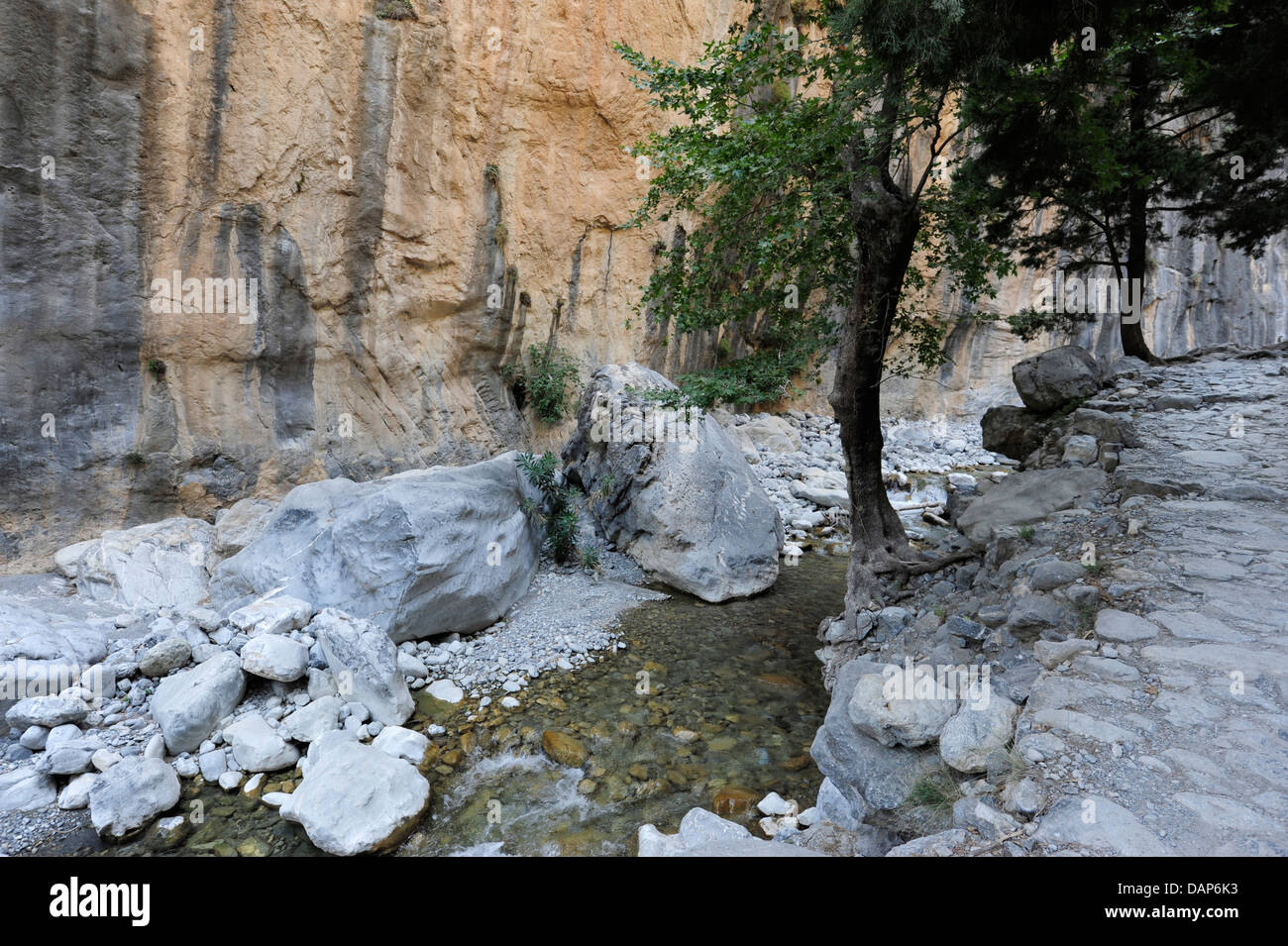 Greece, Crete, Brook in Samaria Canyon Stock Photo - Alamy