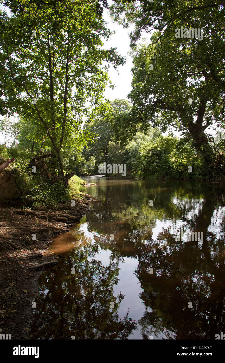 Trees line the bank of the River Lyd in Devon England Stock Photo - Alamy