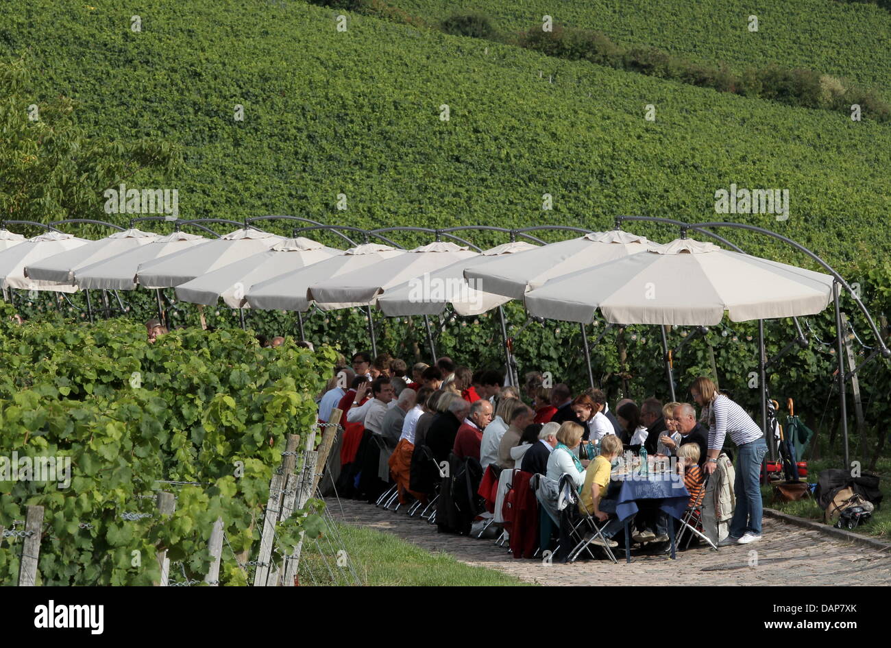 At 225 tables, around 1300 visitors of the Steinberg Dinner Table ...
