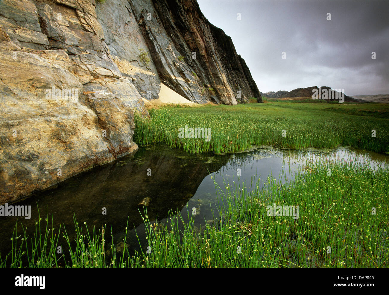 Underground water of the Huab river pushing up against a rockbed in the ...