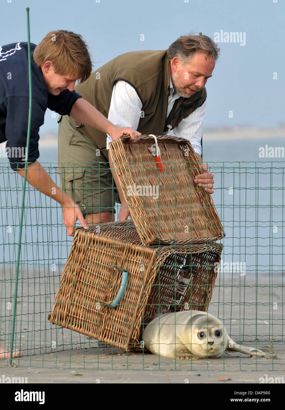 Animal keeper Tim Fettig (L) and Peter Linau, head of the seal breeding ...