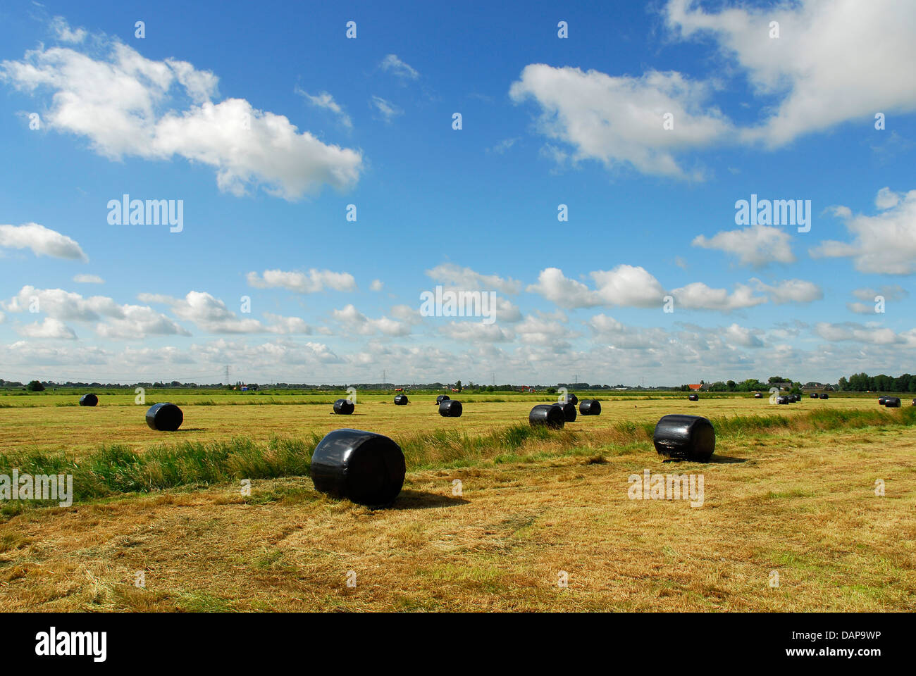 Black hay bales hi-res stock photography and images - Alamy