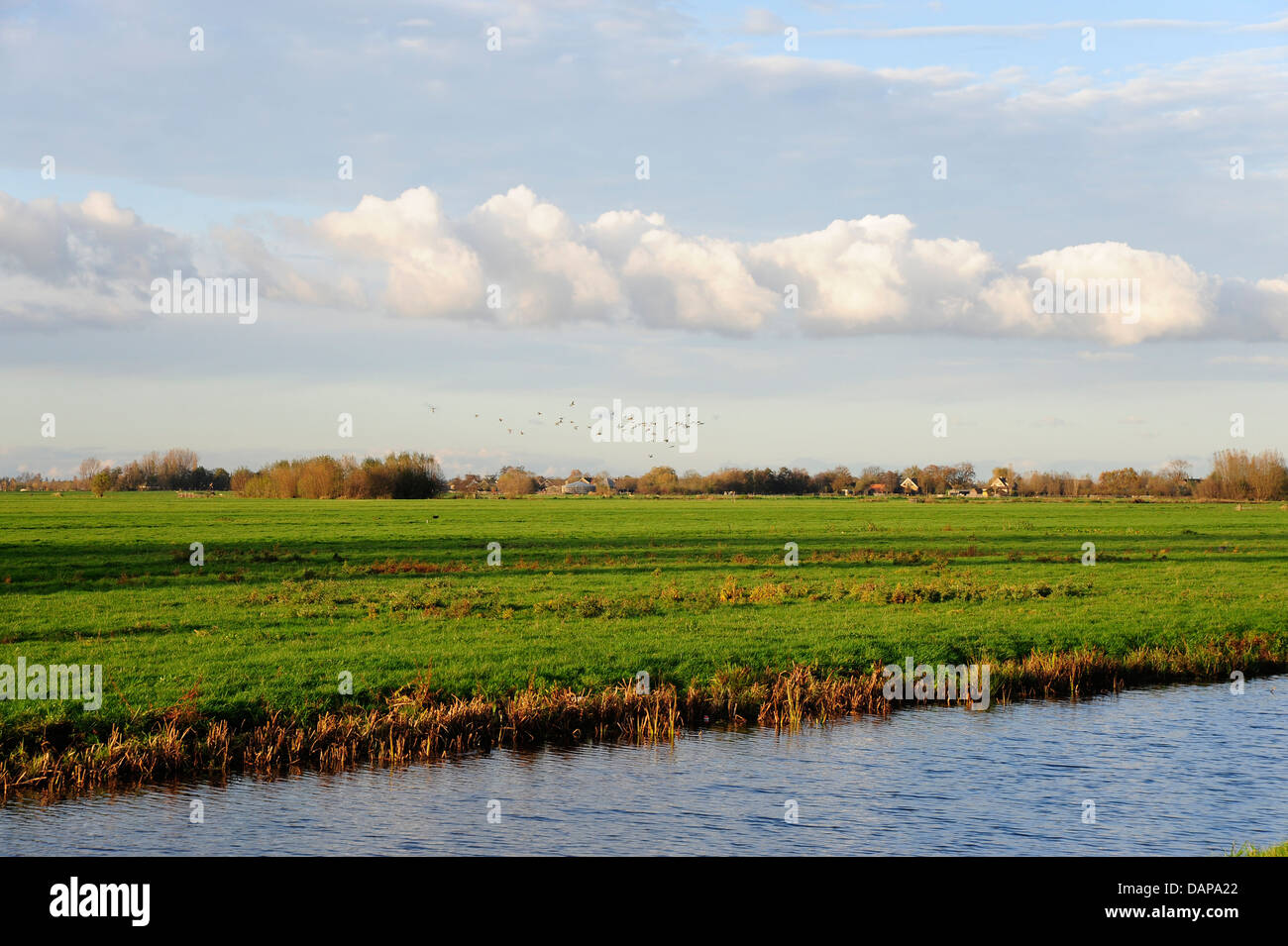 Netherlands, View of landscape between Gouda and Bodegraven Stock Photo ...