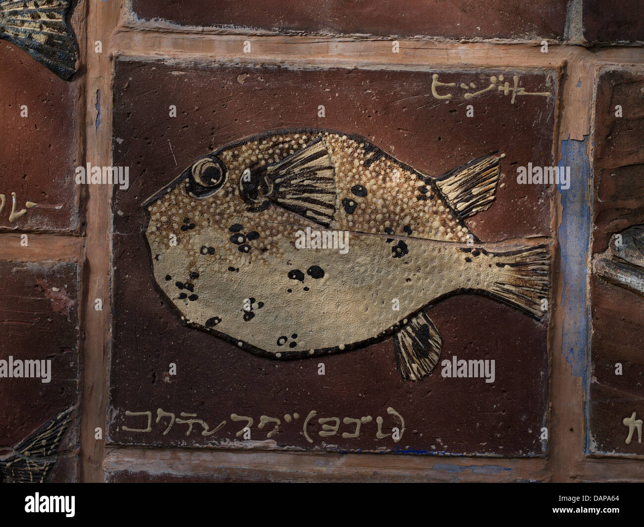 Fugu blowfish hi-res stock photography and images - Alamy