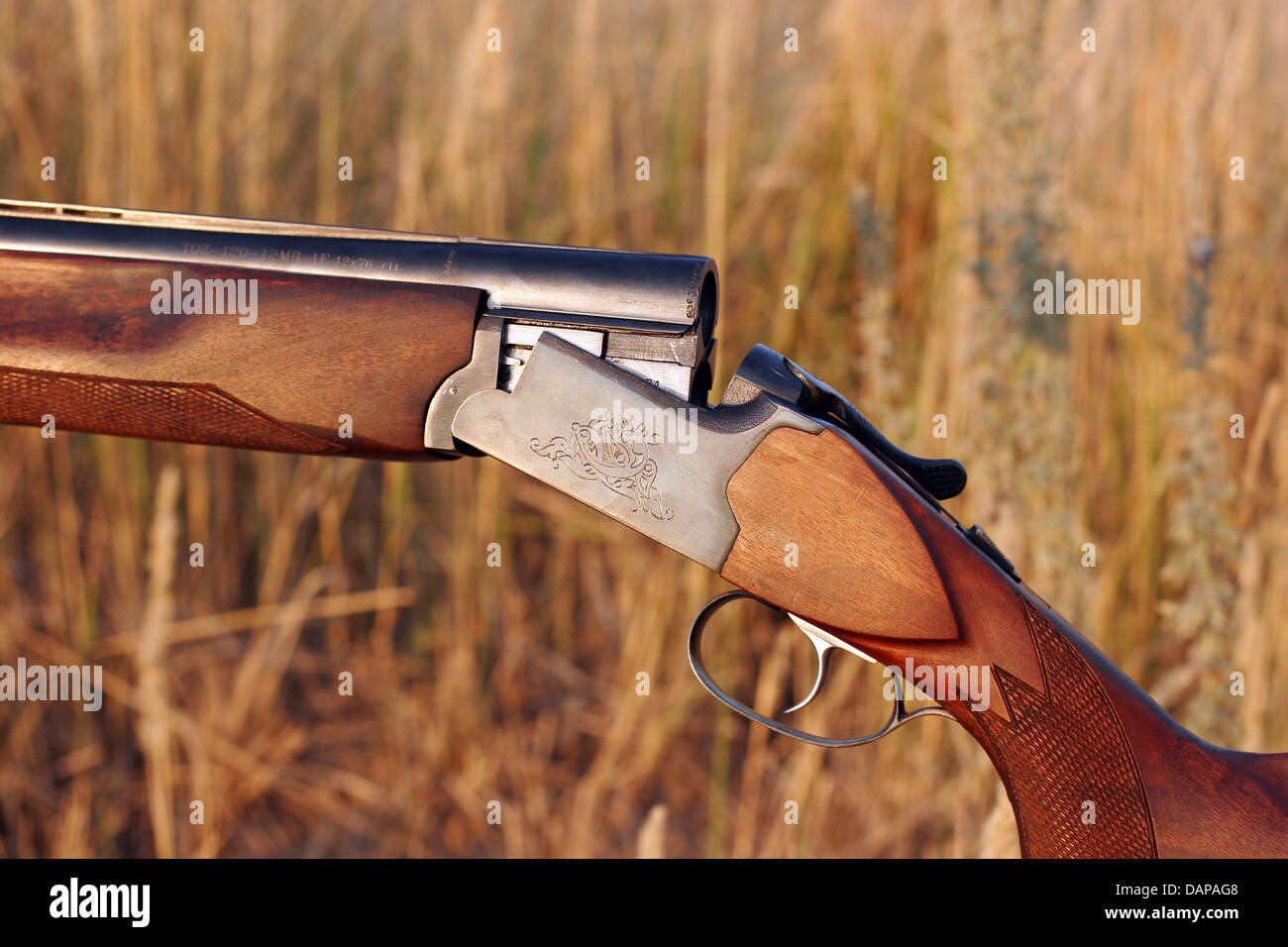 Hunting double-barrelled gun close up Stock Photo - Alamy