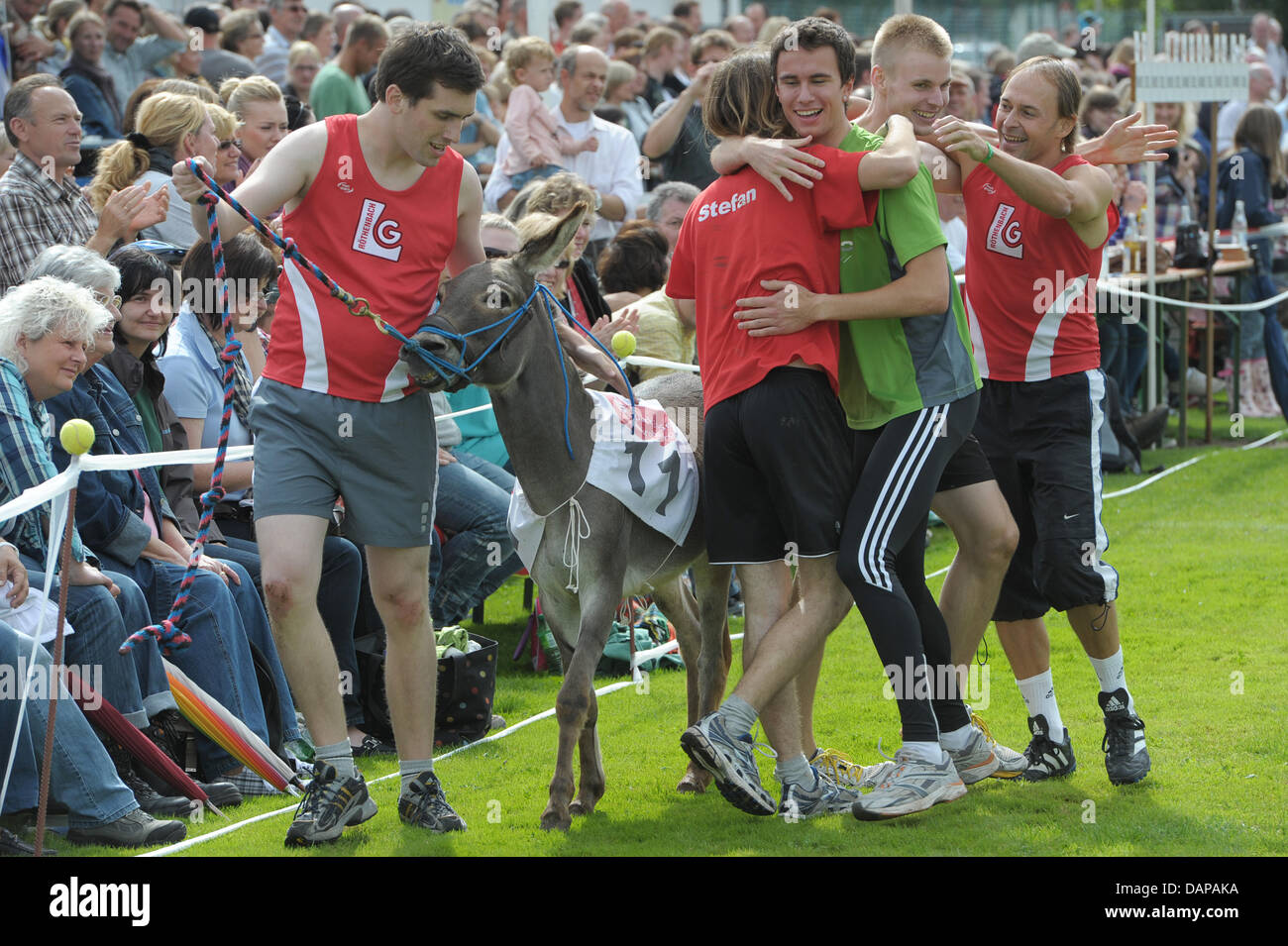 Donkey team hi-res stock photography and images - Alamy