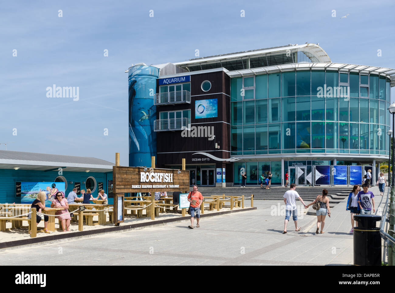 The National Marine Aquarium at Sutton Harbour in Devon with Rockfish ...