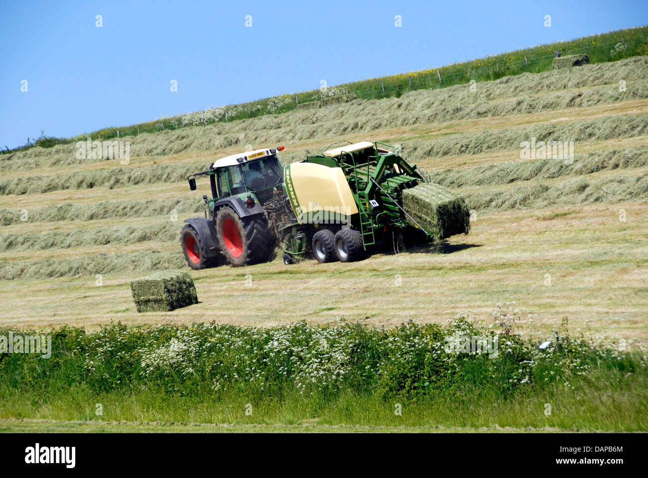 Tractor with baler making hay bales for silage, Sussex, England UK ...
