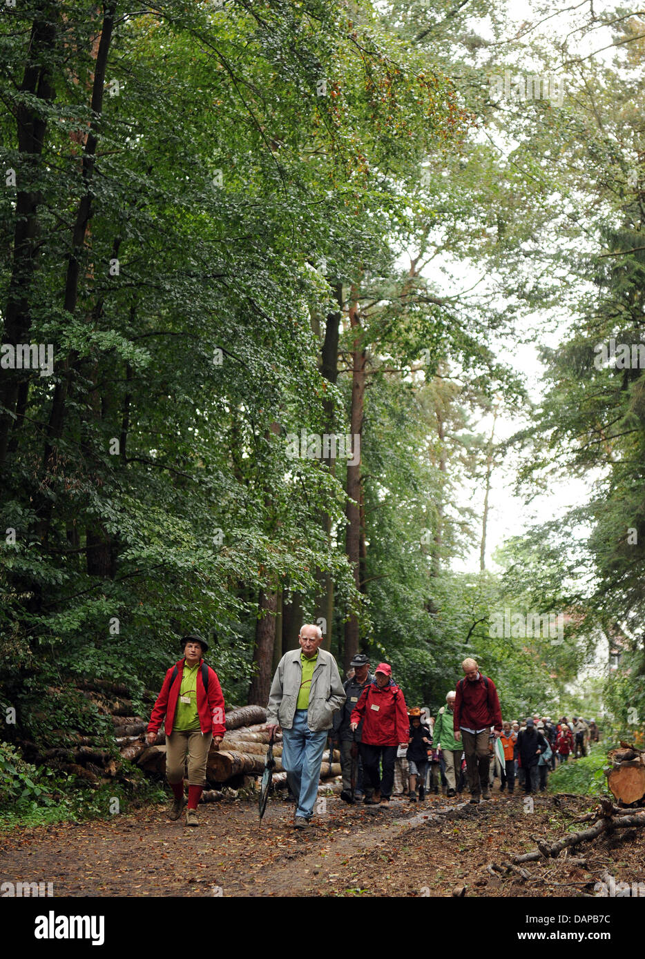 A group of hikers walk through the Riemslohe Forst in Melle, Germany, 8 ...