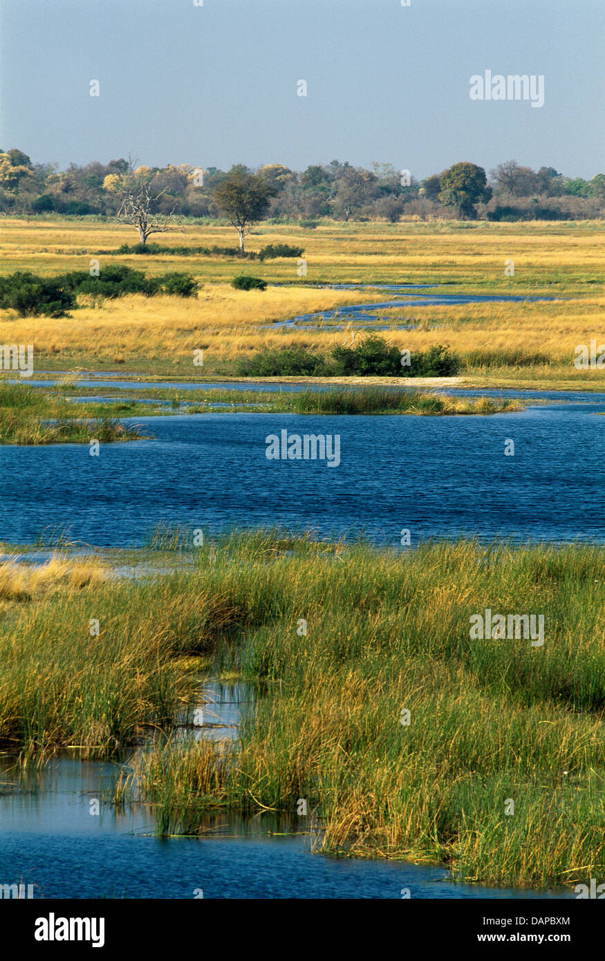 The Kwando River, Namibia Stock Photo - Alamy