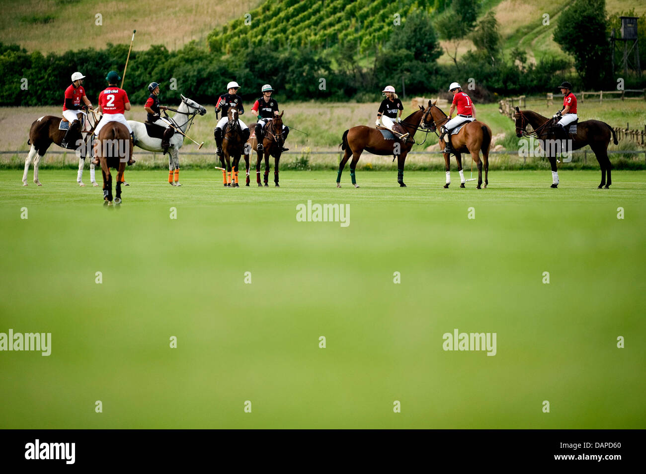 Polo athletes practice on a polo field in Phoeben, Germany, 10 August ...