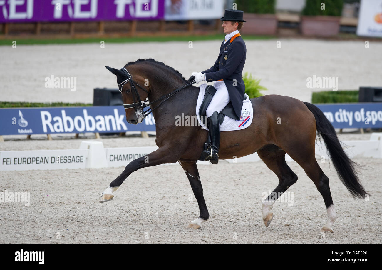 Dutch harness horse hi-res stock photography and images - Alamy