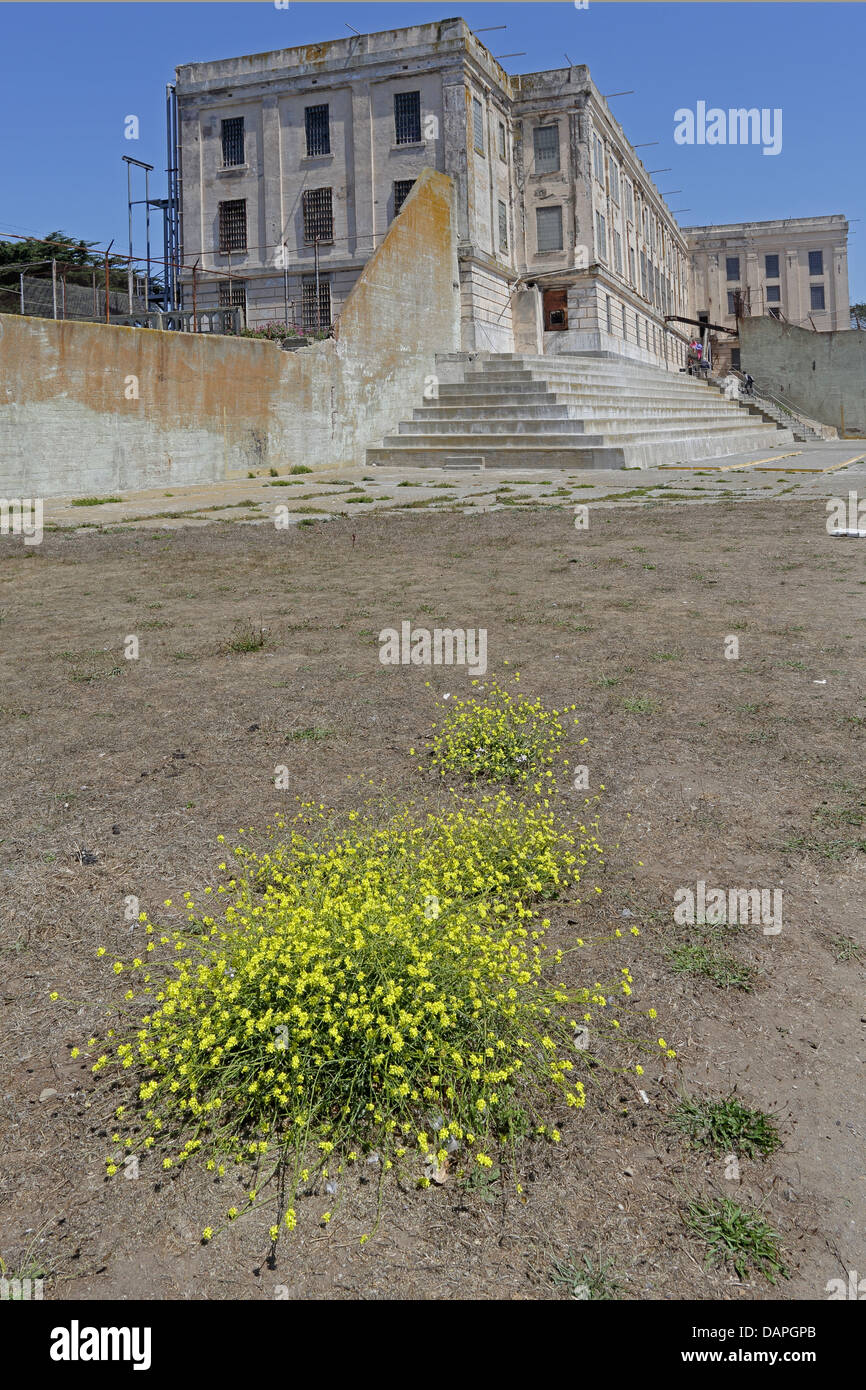 Cell block hi-res stock photography and images - Alamy