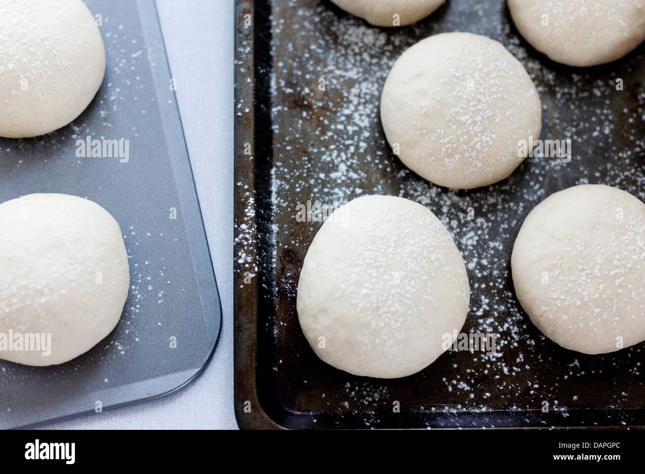Pre-cooked dough, for crusty white rolls, on trays before being baked ...