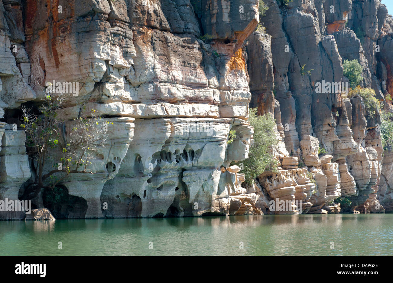 The Devonian limestone cliffs of Geilki Gorge, formed by the Fitzroy ...