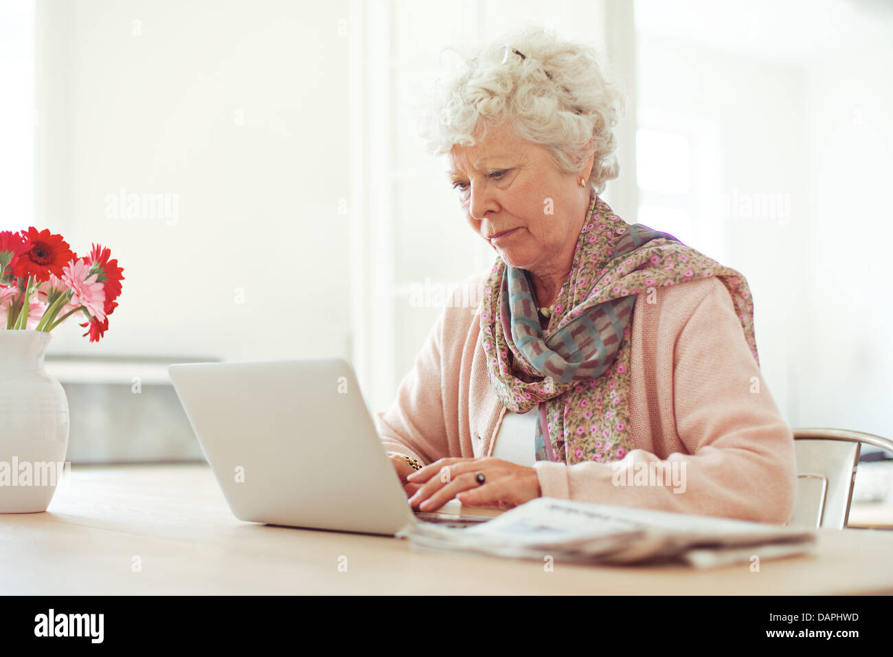 Elderly woman at home typing something using her laptop Stock Photo - Alamy