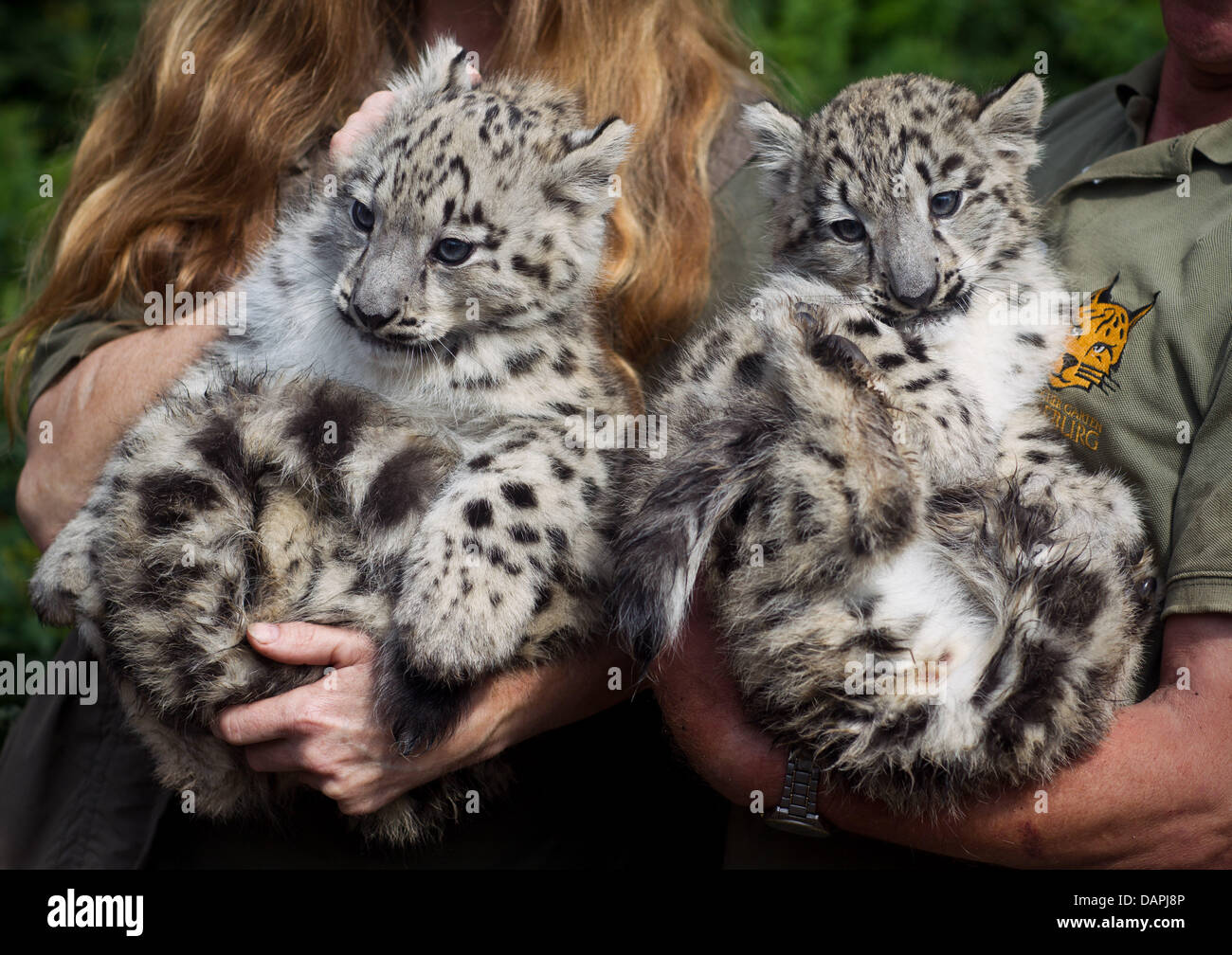European breeding program hi-res stock photography and images - Alamy