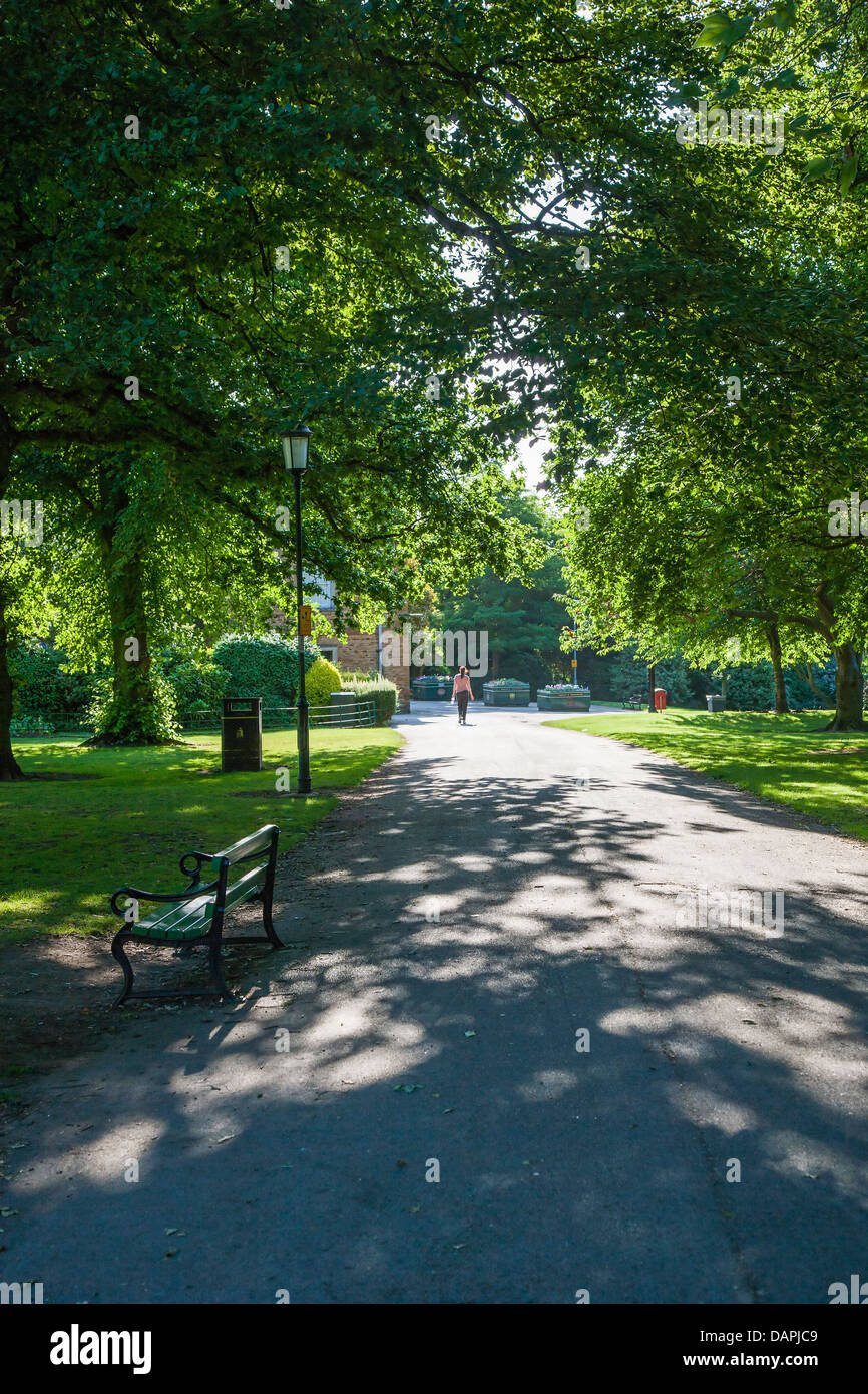 Female walking in Abington Park, Northampton on a sunny morning Stock ...