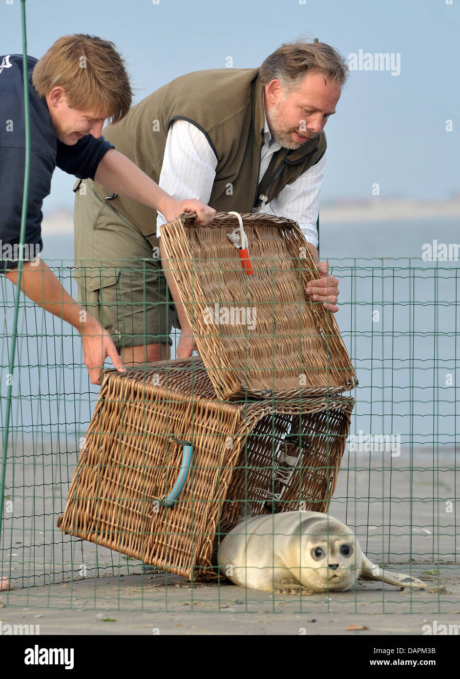 Keeper Tim Fettig and Peter Linau (L-R), director of the seal rearing ...