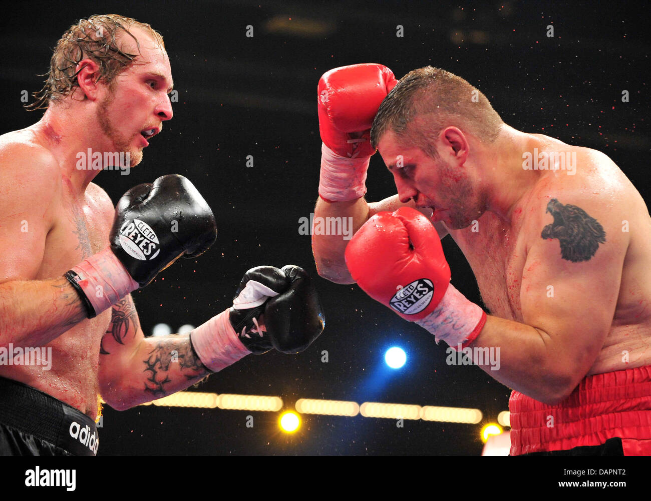 Boxing professionals from Robert Helenius from Finland (L) and Sergei ...