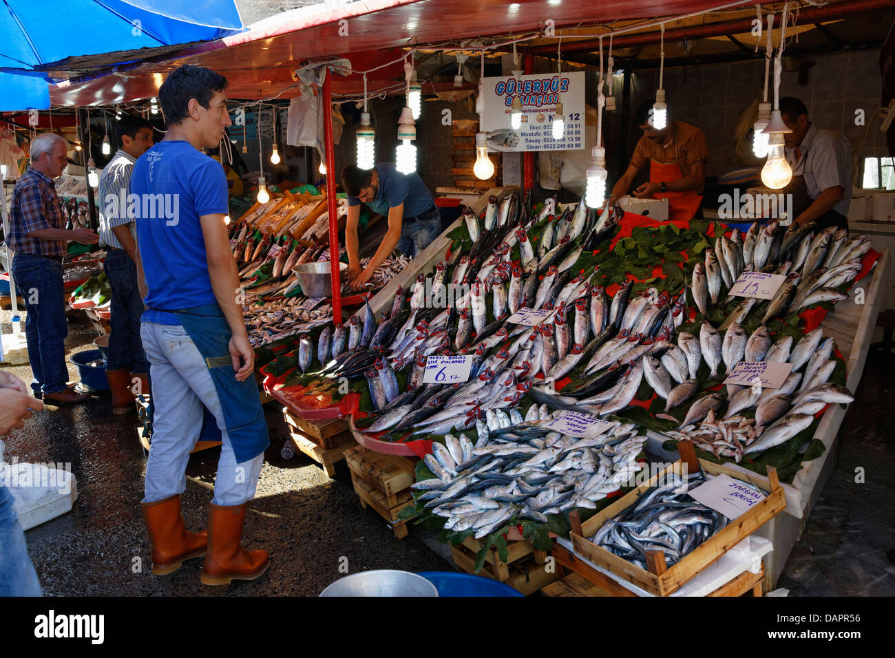 Karakoy Fish Market Istanbul at Harrison Greenwood blog