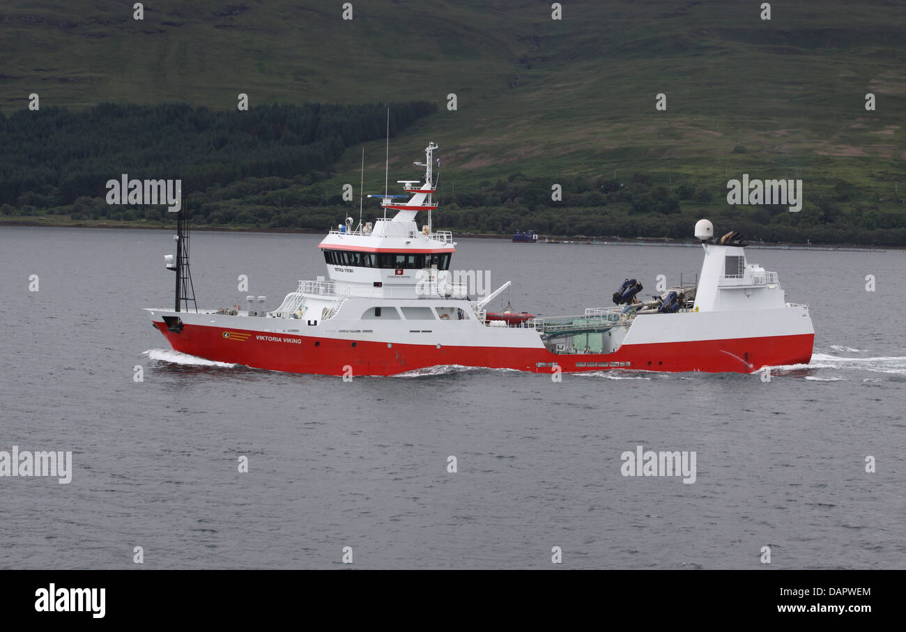 live fish carrier Viktoria Viking in Sound of Mull Scotland July 2013 ...