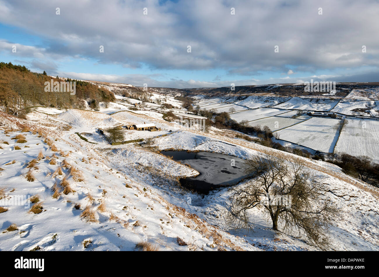 A view looking north up Rosedale Northdale Stock Photo - Alamy
