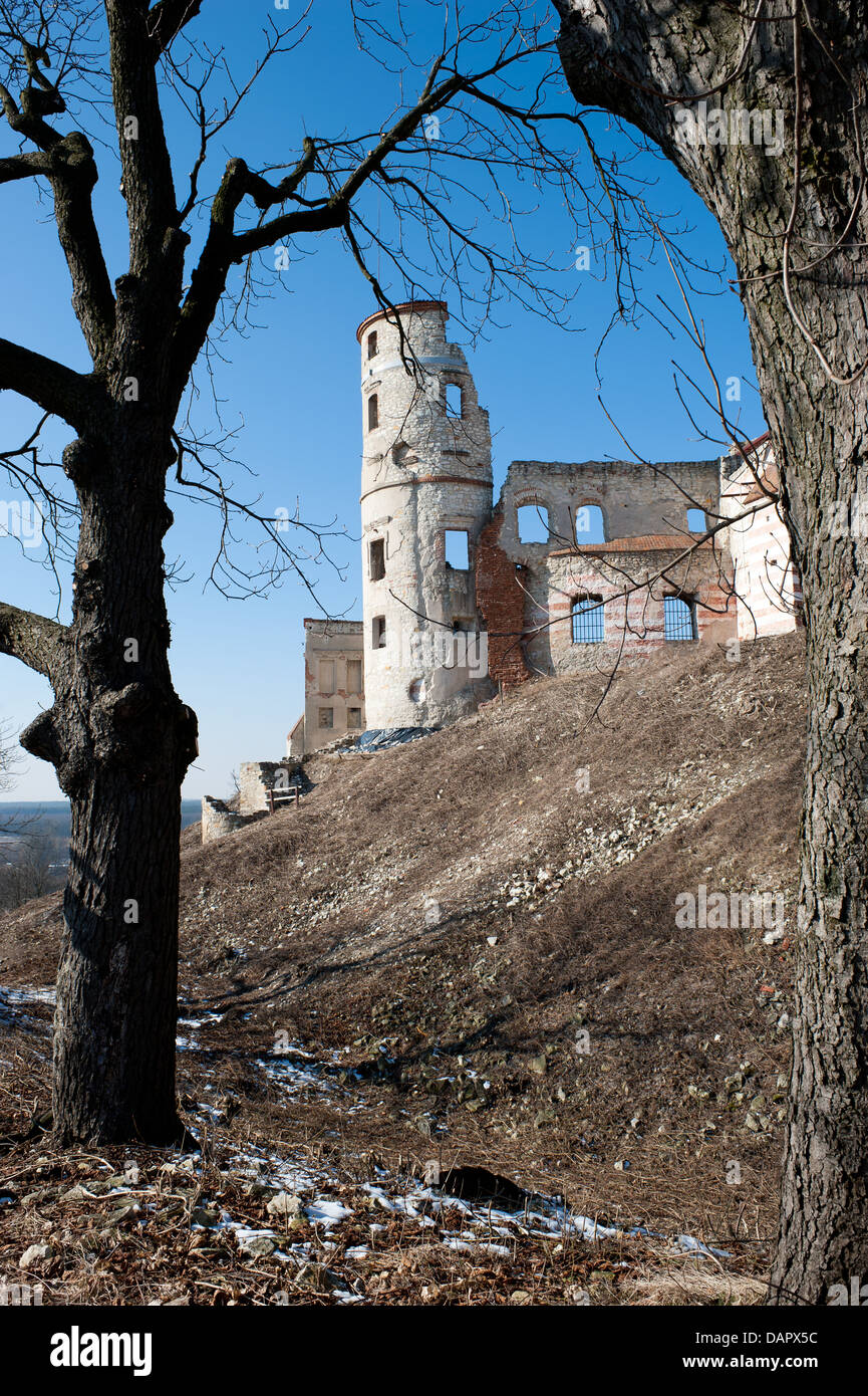 Castle in Janowiec, Poland Stock Photo - Alamy