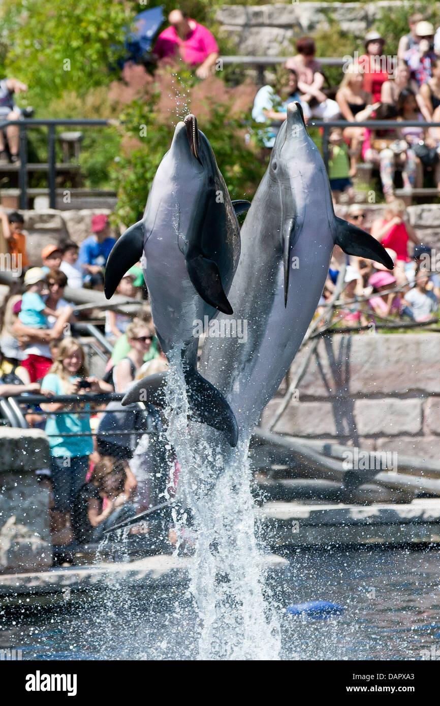 Nuremberg, Germany. 17th July, 2013. Dolphins jump out of the water ...