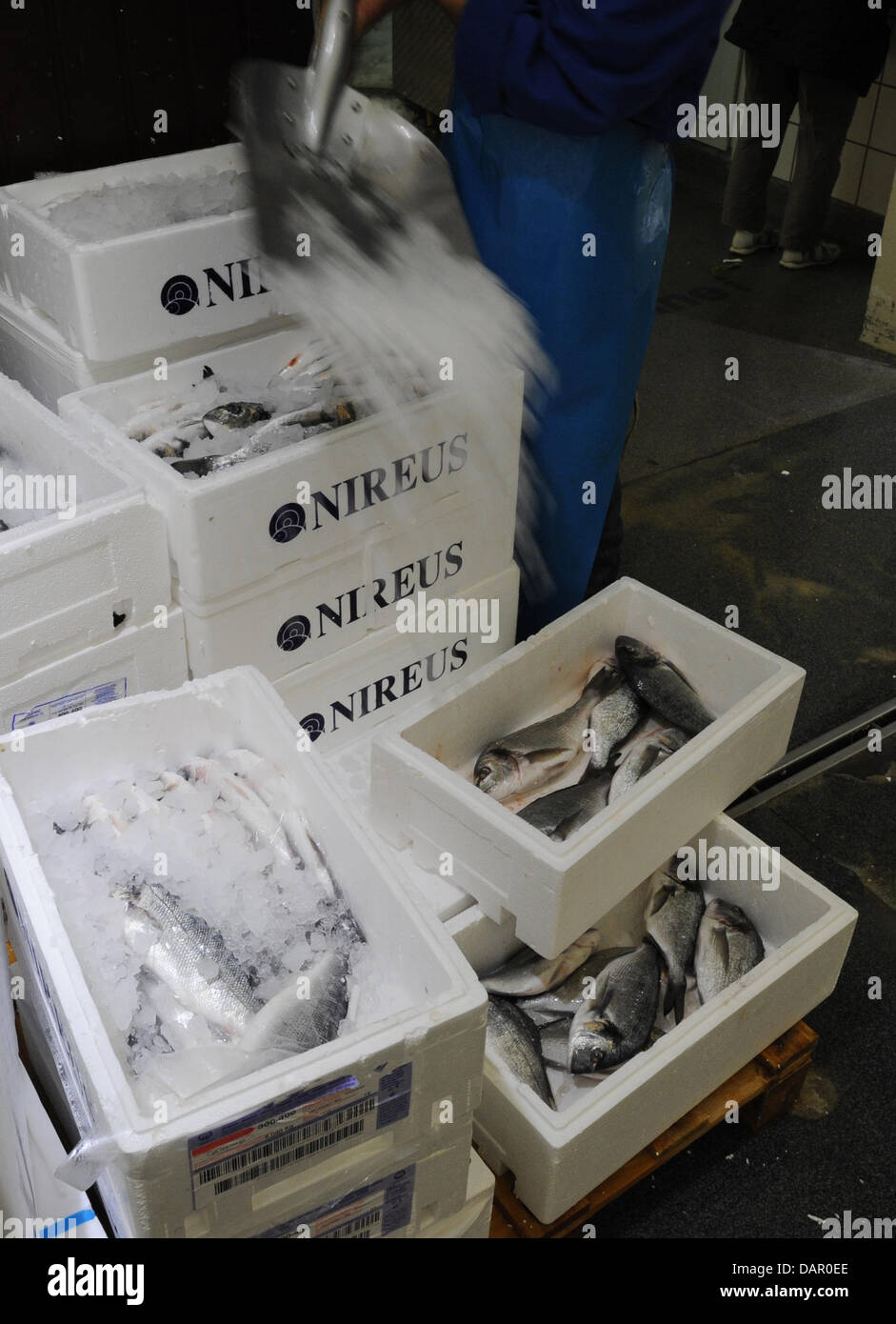 An employee fills a crate of bream with ice at the fish market in ...