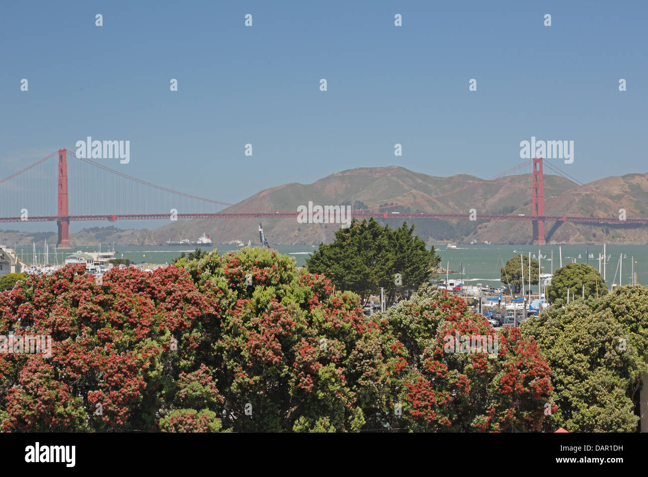 Golden gate with trees hi-res stock photography and images - Alamy